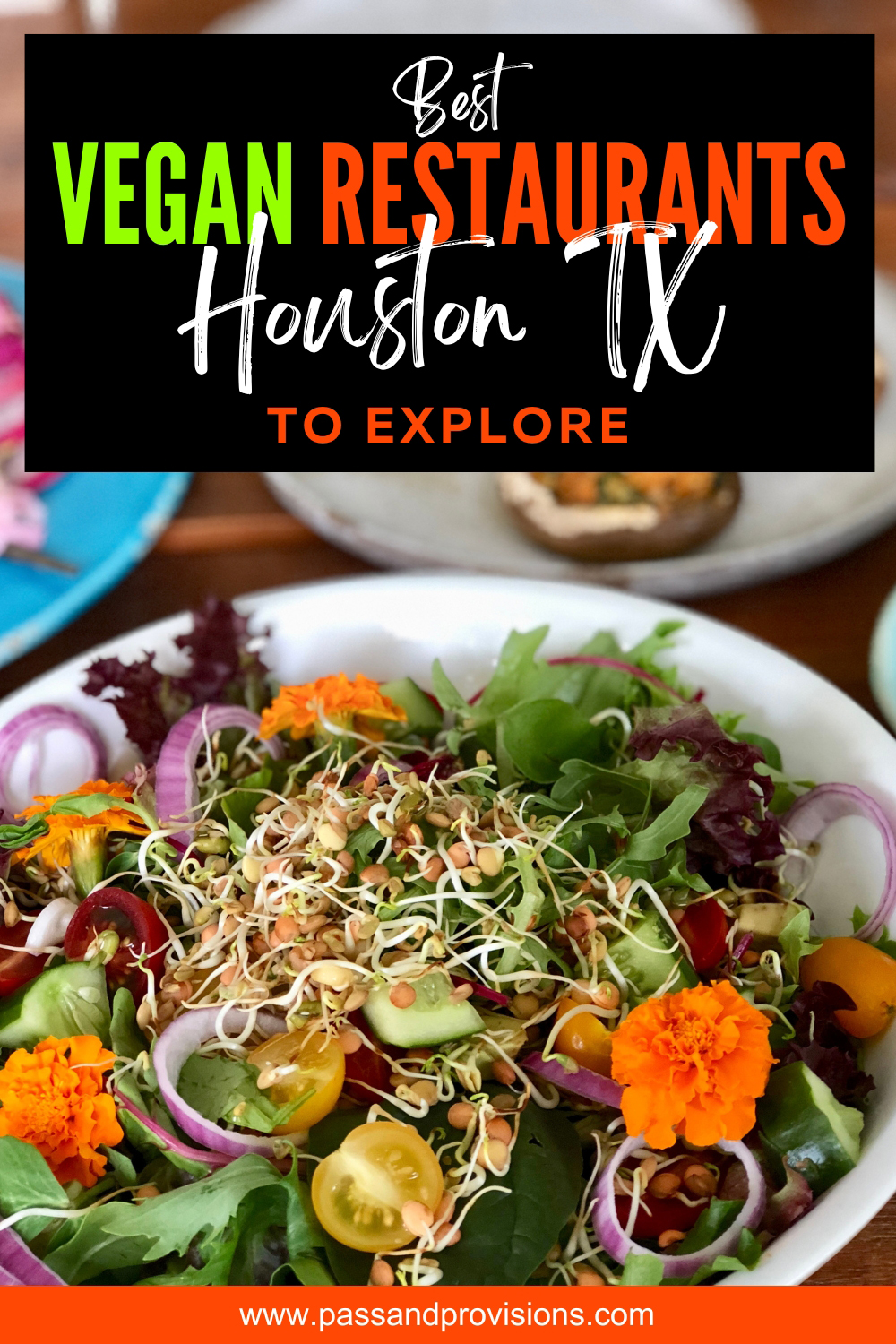 12 Best Vegan Restaurants Houston TX To Explore In 2023