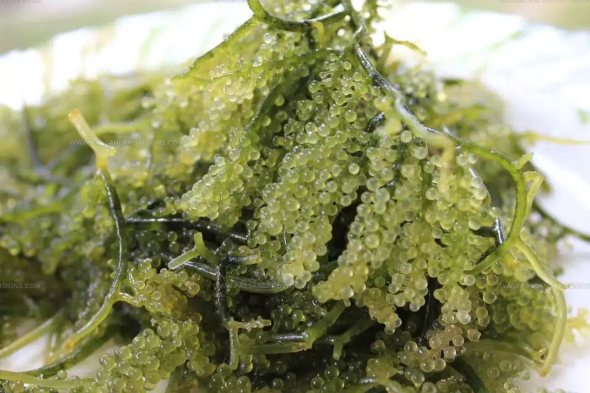 Sea Grapes Taste Like Little Bursts of Ocean Freshness - The Pass and ...