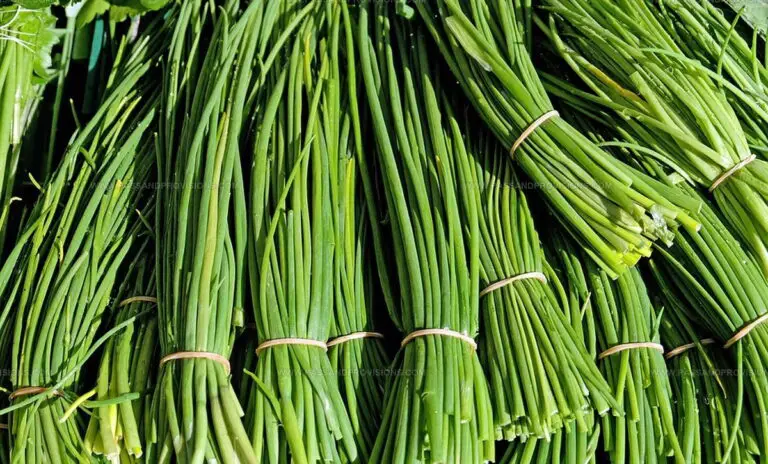 What Do Chives Taste Like? Mild Onion Zing in Every Bite! - The Pass ...